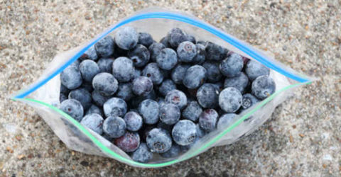 Five Reasons to Freeze Your Blueberries | Harvest Lugs