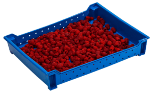 Harvest Trays | Harvest Lugs